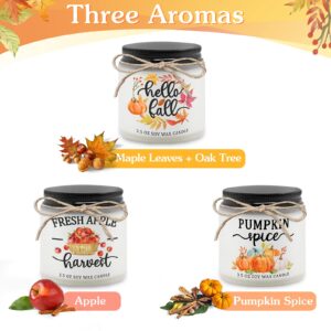 Fall Candles Gift Box Set Hello Fall Pumpkin Spice Fresh Apple Harvest Autumn Holiday Centerpiece Decoration Fall Thanksgiving Presents for Her Set of 3