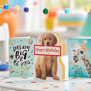 American Greetings Birthday, Friendship, or Congratulations Card (You Can Do Anything)