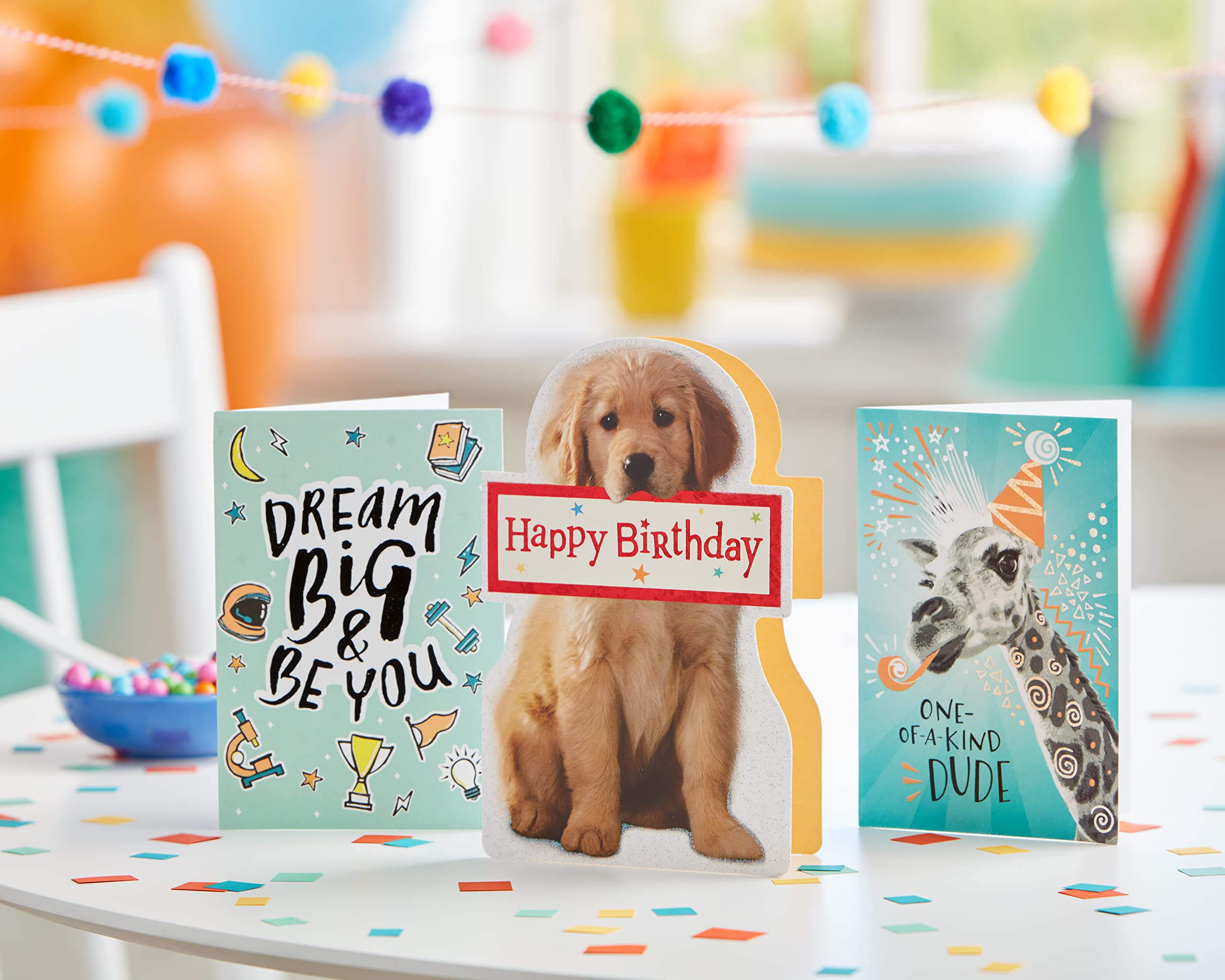 American Greetings Birthday, Friendship, or Congratulations Card (You Can Do Anything)