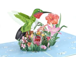 hummingbird pop up card, birthday card, mother's day card, summer card, thinking of you, bird lovers