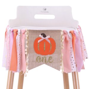 pumpkin highchair banner for 1st birthday - little pumpkin banner, pumpkin birthday party decorations, pink orange first birthday banner, baby shower decorations for baby girl