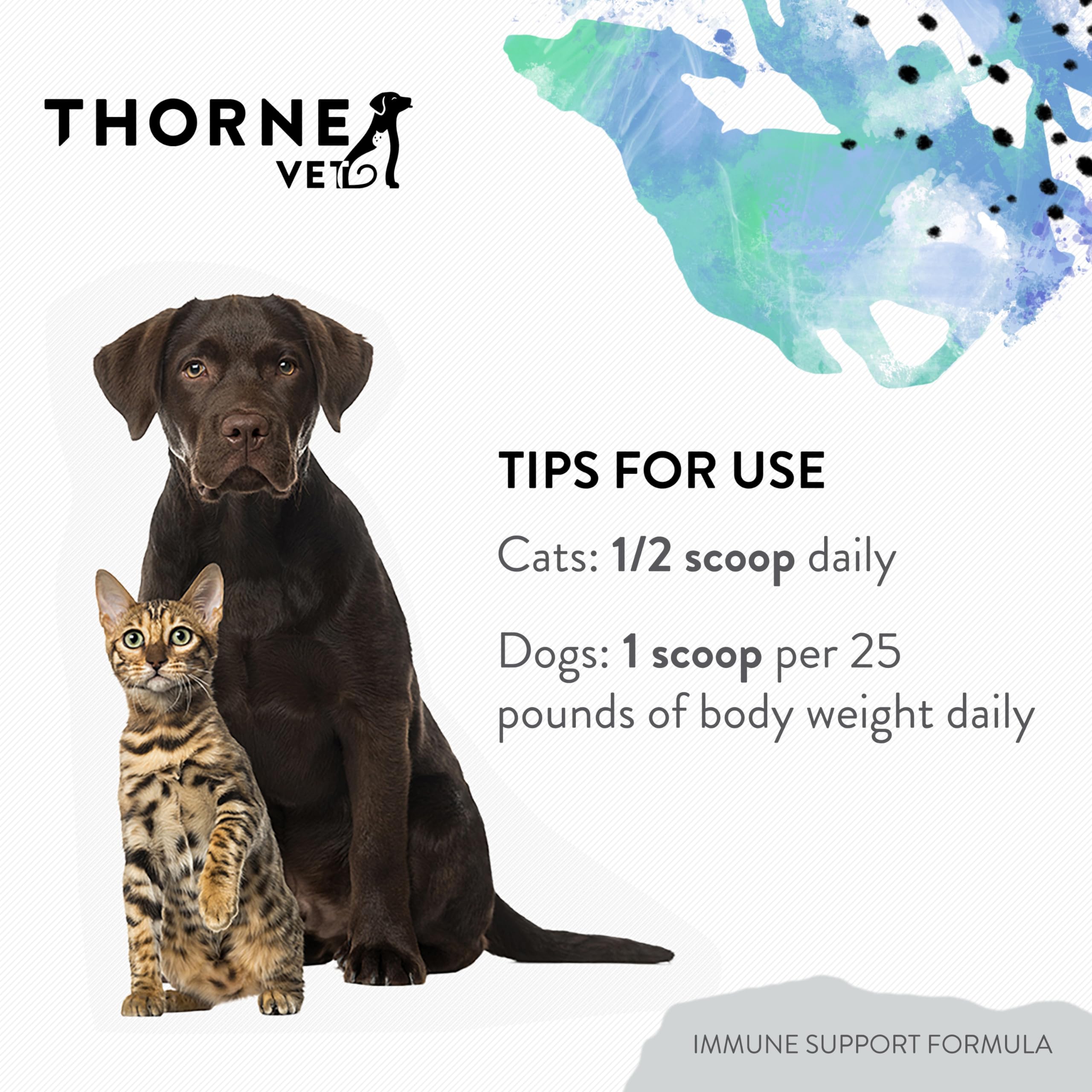 ThorneVET Immune Support Formula Powder – Immune Support for Dogs & Cats, 90 Scoops