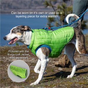 Kurgo Core Dog Sweater, Knit Dog Sweater with Fleece Lining, Cold Weather Pet Jacket, Zipper Opening for Harness, Adjustable Neck, Year-Round Sweater for Small Dogs (Heather Green, Small)