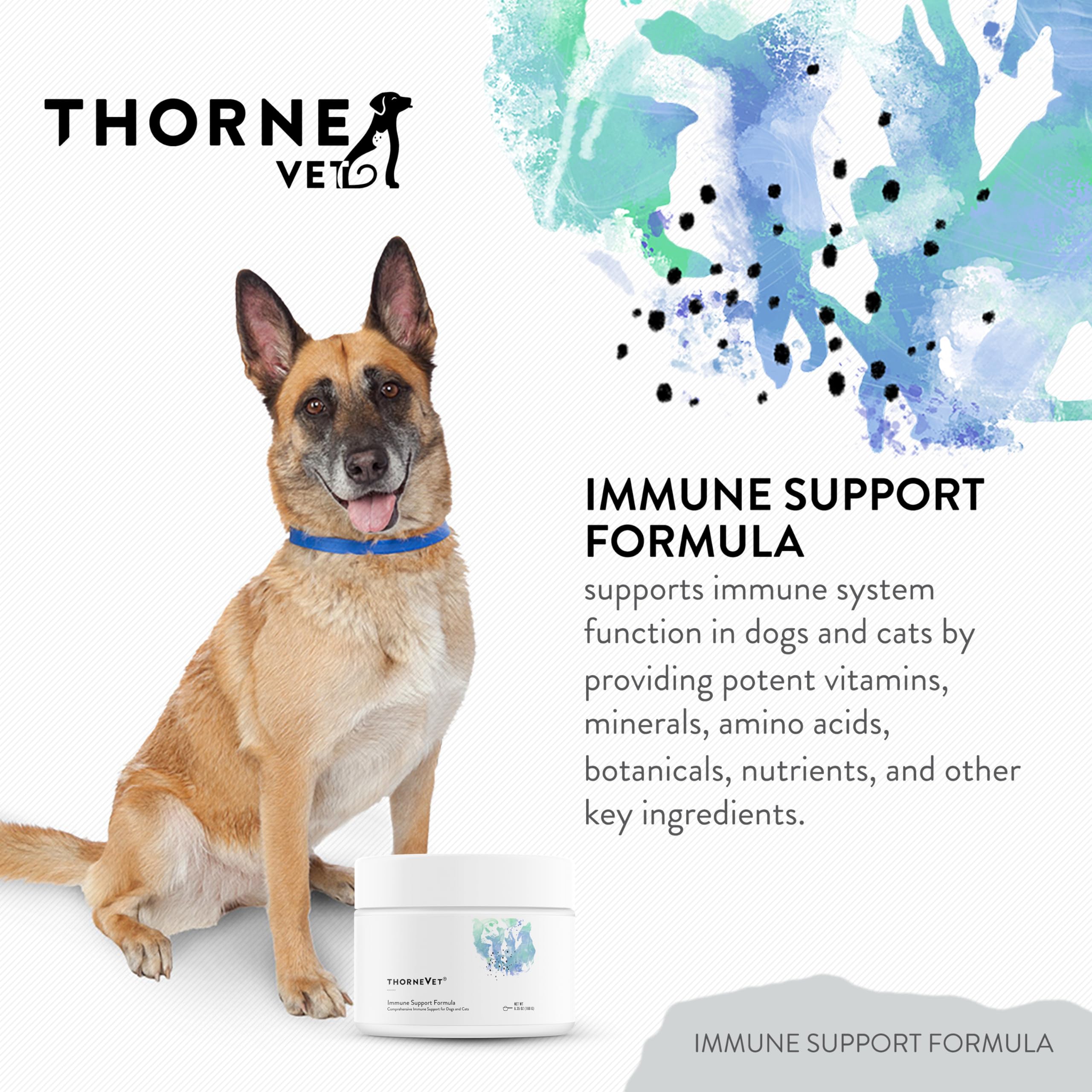 ThorneVET Immune Support Formula Powder – Immune Support for Dogs & Cats, 90 Scoops