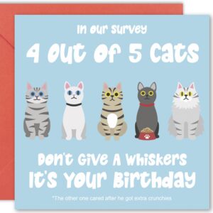 cult kitty - 4 out of 5 cats - joke happy birthday cards for him - funny birthday card for her - funny birthday cards for men - funny birthday cards for women - birthday card cat - cat birthday card