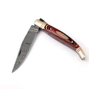 Damascus steel folding knife with leather sheath, 8.5 inches long laguiole pocket knife with 4 inches long Damascus steel Blade, 4.5 inches multi color wood scale with Brass bolster and pommel, Leather sheath included (Brown)