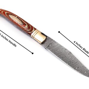 Damascus steel folding knife with leather sheath, 8.5 inches long laguiole pocket knife with 4 inches long Damascus steel Blade, 4.5 inches multi color wood scale with Brass bolster and pommel, Leather sheath included (Brown)