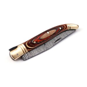 Damascus steel folding knife with leather sheath, 8.5 inches long laguiole pocket knife with 4 inches long Damascus steel Blade, 4.5 inches multi color wood scale with Brass bolster and pommel, Leather sheath included (Brown)