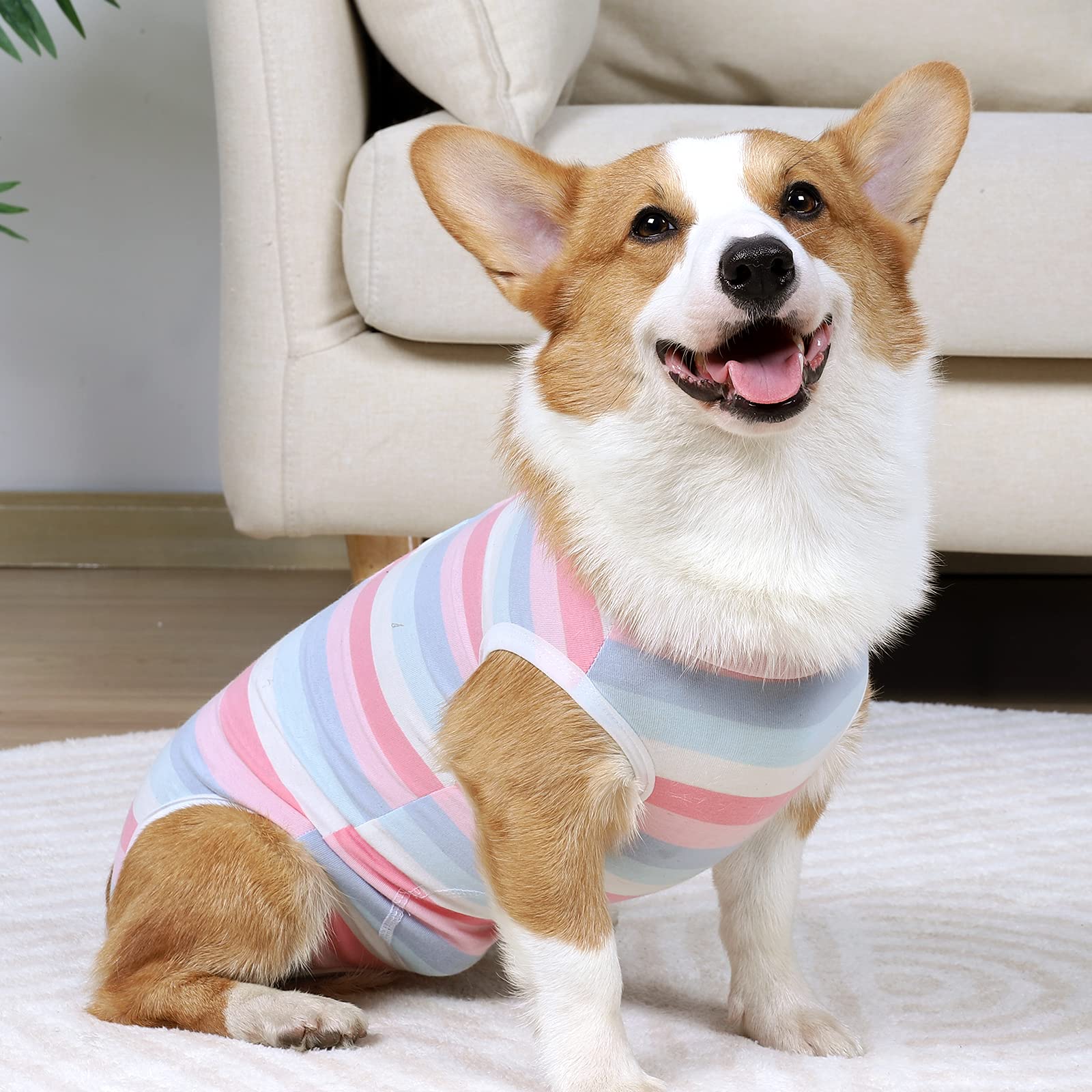 Dog Recovery Suit Dog Onesie for Surgery Recovery, Dog Surgery Recovery Suit for Small Medium Dogs, E-Collar Alternative After Surgery Wear Anti Licking Abdominal Wounds Pet Surgery Recovery Suit