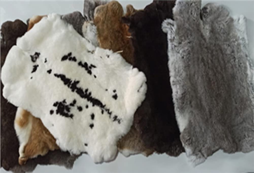 ZSCYD-yingda1992 5pcs Assorted Bulk Craft Grade Natural Rabbit Skins Real Quality Rabbit Pelts Perfect for Decoration, Cat/Dog Toys, Sewing, or Crafting Fur Hide 10" by 14"