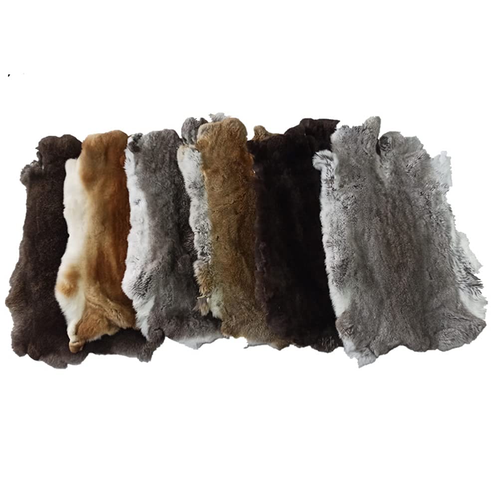 ZSCYD-yingda1992 5pcs Assorted Bulk Craft Grade Natural Rabbit Skins Real Quality Rabbit Pelts Perfect for Decoration, Cat/Dog Toys, Sewing, or Crafting Fur Hide 10" by 14"