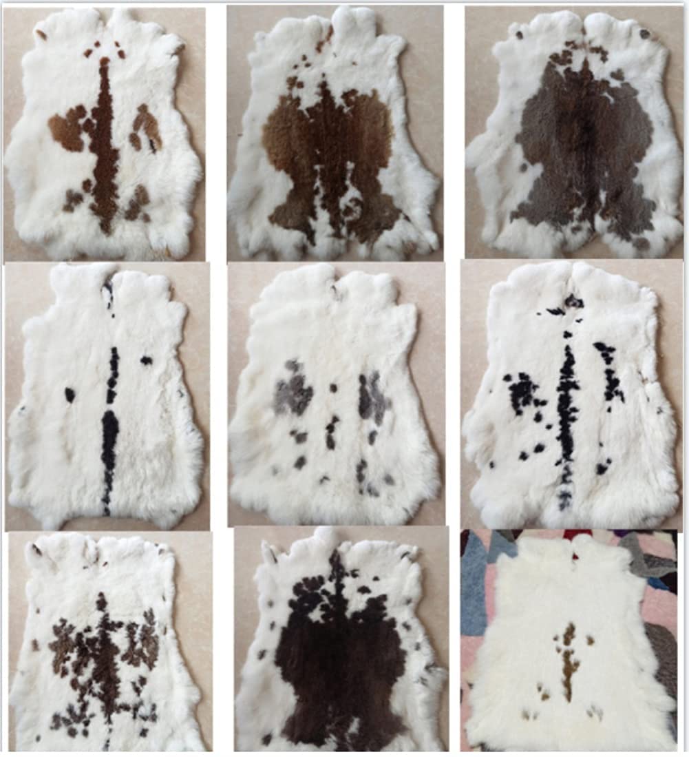 ZSCYD-yingda1992 5pcs Assorted Bulk Craft Grade Natural Rabbit Skins Real Quality Rabbit Pelts Perfect for Decoration, Cat/Dog Toys, Sewing, or Crafting Fur Hide 10" by 14"