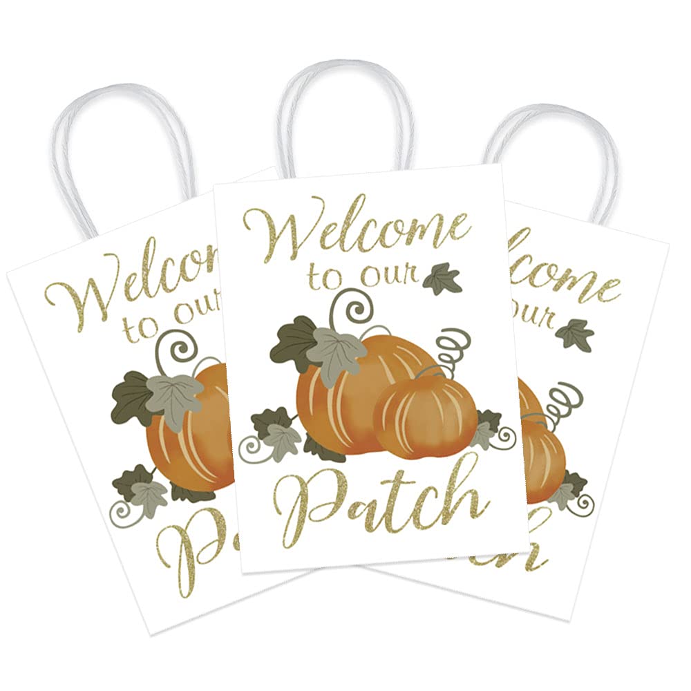 16 Piece Pumpkin Gift Paper Bags, Fall Candy Grocery Bags With Handle Great for Fall Themed Welcome to Our Patch Party Supplies