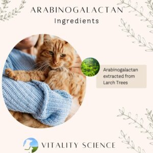 Arabinogalactan Water Soluble Prebiotic for Cats and Dogs | 100% Natural | Supports Immune Health | Maintains Proper Gut and GI Tract | Optimum Digestive Health (120g)