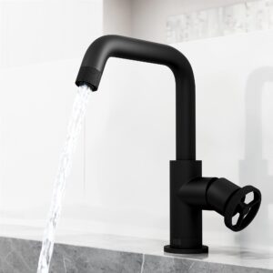 VIGO Cass 9'' H Single Handle Single-Hole Bathroom Faucet in Matte Black-VG01047MB