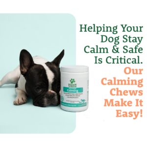 Doggie Dailies Calming Chews for Dogs, 225 Soft Chews, Melatonin for Dogs with Chamomile to Help Manage Stress Relief, Calm & Relaxation During Thunderstorms, Fireworks, Travel, & Separation