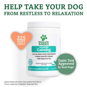 Doggie Dailies Calming Chews for Dogs, 225 Soft Chews, Melatonin for Dogs with Chamomile to Help Manage Stress Relief, Calm & Relaxation During Thunderstorms, Fireworks, Travel, & Separation