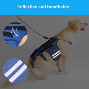 Coodeo Dog Back Brace for Dogs Arthritis, Pet Back Bracer for IVDD, Back Protector Helps Pain Relief, Surgical Recovery and Rehabilitation, Dogs Back Disease Prevention. (Medium)