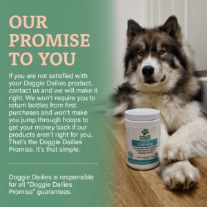 Doggie Dailies Calming Chews for Dogs, 225 Soft Chews, Melatonin for Dogs with Chamomile to Help Manage Stress Relief, Calm & Relaxation During Thunderstorms, Fireworks, Travel, & Separation