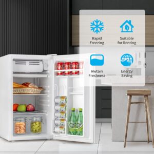 N A 3.2 Cu.Ft Mini Refrigerator Compact Refrigerator-Single Door Small Drink Food Storage Machine for Dorm, Garage, Camper, Basement or Office, Mini Fridge, Stainless Steel (White)