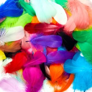 600pcs colorful feathers 20 colors craft feathers 3-5 inches assorted rainbow colors feathers for kids handmade wedding diy decorations natural feather