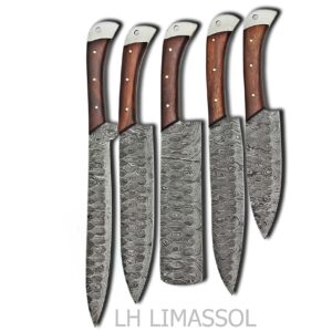 Damascus Steel Kitchen Knife Set, 5 PCS Hand Forged Chef Knife Set With Leather Roll Kit Christmas gift kitchen and Dinning