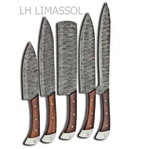 Damascus Steel Kitchen Knife Set, 5 PCS Hand Forged Chef Knife Set With Leather Roll Kit Christmas gift kitchen and Dinning