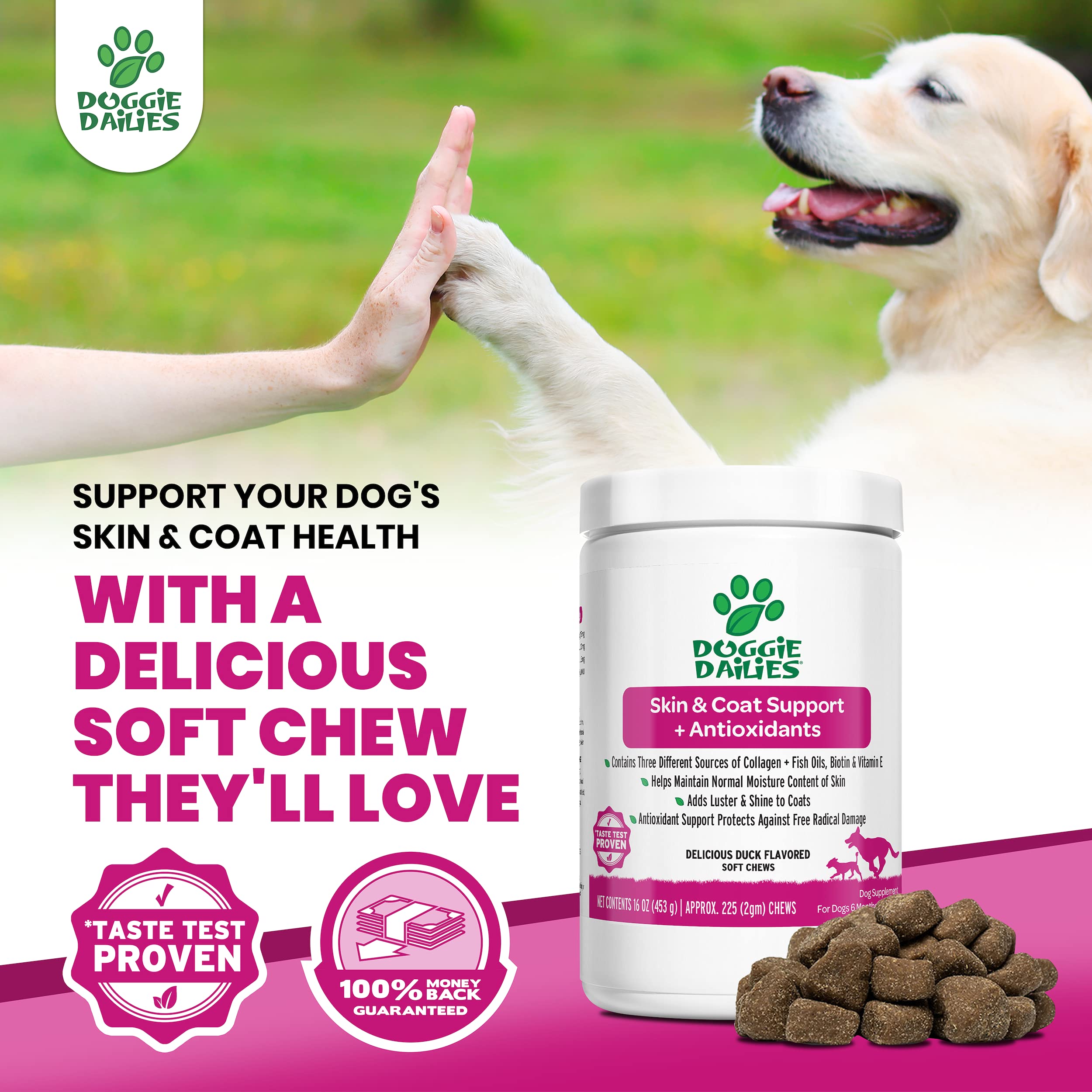 Doggie Dailies Skin & Coat Supplement + Antioxidant Support, 225 Soft Chews, Salmon Oil for Dogs Skin and Coat with Collagen, Omega 3, Krill Oil, Biotin, & Coconut Oil for Dogs