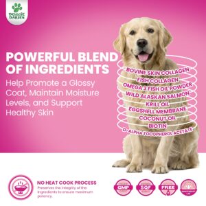 Doggie Dailies Skin & Coat Supplement + Antioxidant Support, 225 Soft Chews, Salmon Oil for Dogs Skin and Coat with Collagen, Omega 3, Krill Oil, Biotin, & Coconut Oil for Dogs