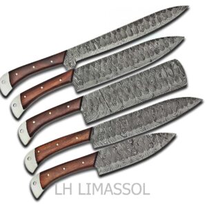 Damascus Steel Kitchen Knife Set, 5 PCS Hand Forged Chef Knife Set With Leather Roll Kit Christmas gift kitchen and Dinning