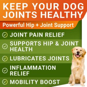 Glucosamine Treats for Dogs + Dog Probiotics Treats for Picky Eaters Bundle - Joint Supplement w/Omega-3 Fish Oil, Chondroitin, MSM and Digestive Support, Allergy, Gas and Constipation Relief