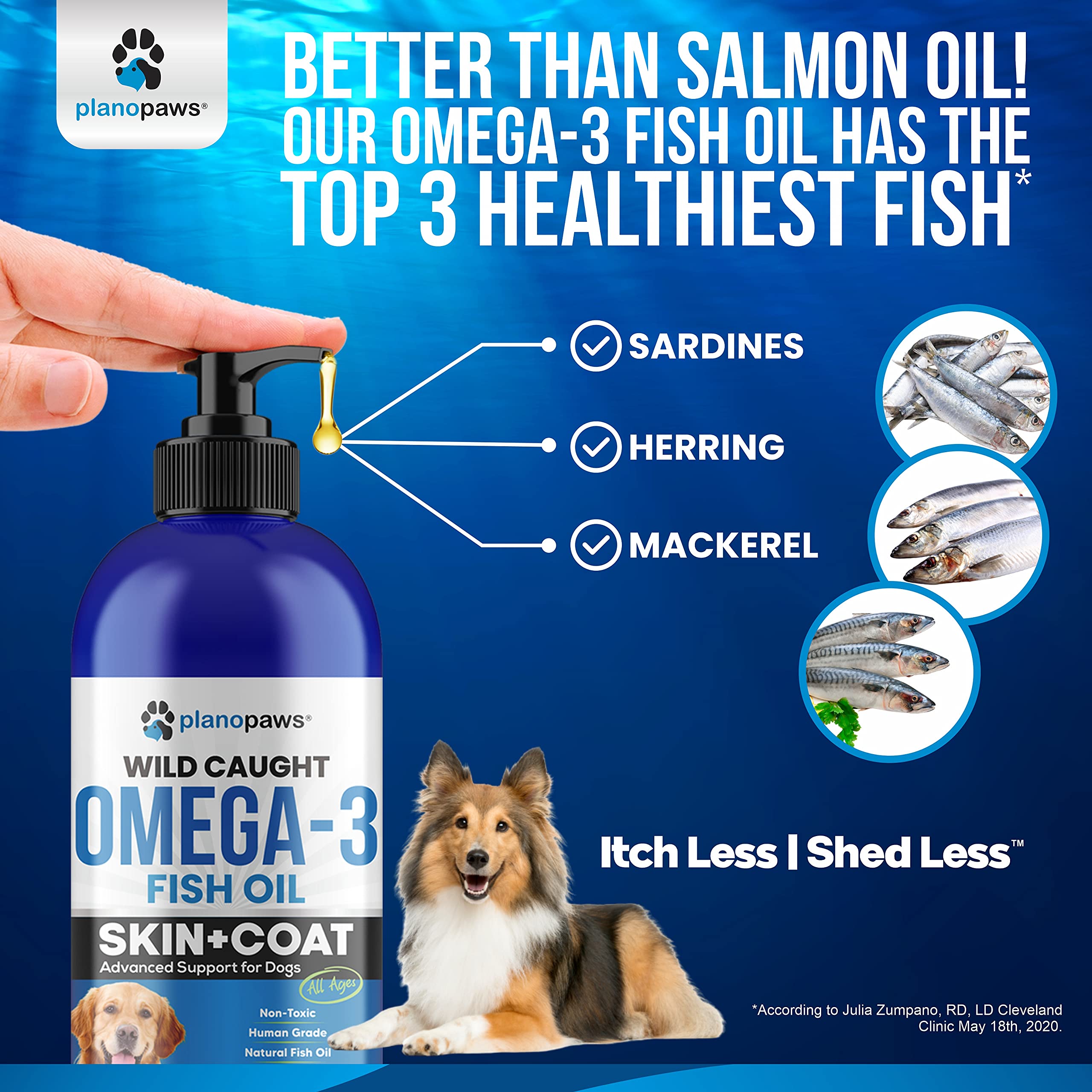 Omega 3 Fish Oil for Dogs - Better Than Salmon Oil for Dogs - Dog Fish Oil Supplement for Shedding, Allergy, Itch Relief - Supports Dry Skin, Joints - Dog Skin and Coat Supplement - Fish Oil Liquid