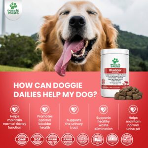 Doggie Dailies Cranberry Supplement for Dogs, 225 Soft Chews, Urinary Tract, Bladder & Kidney Support for Dogs, Cranberry for Dogs with Marshmallow Root, Licorice Root & Apple Cider Vinegar (Bacon)