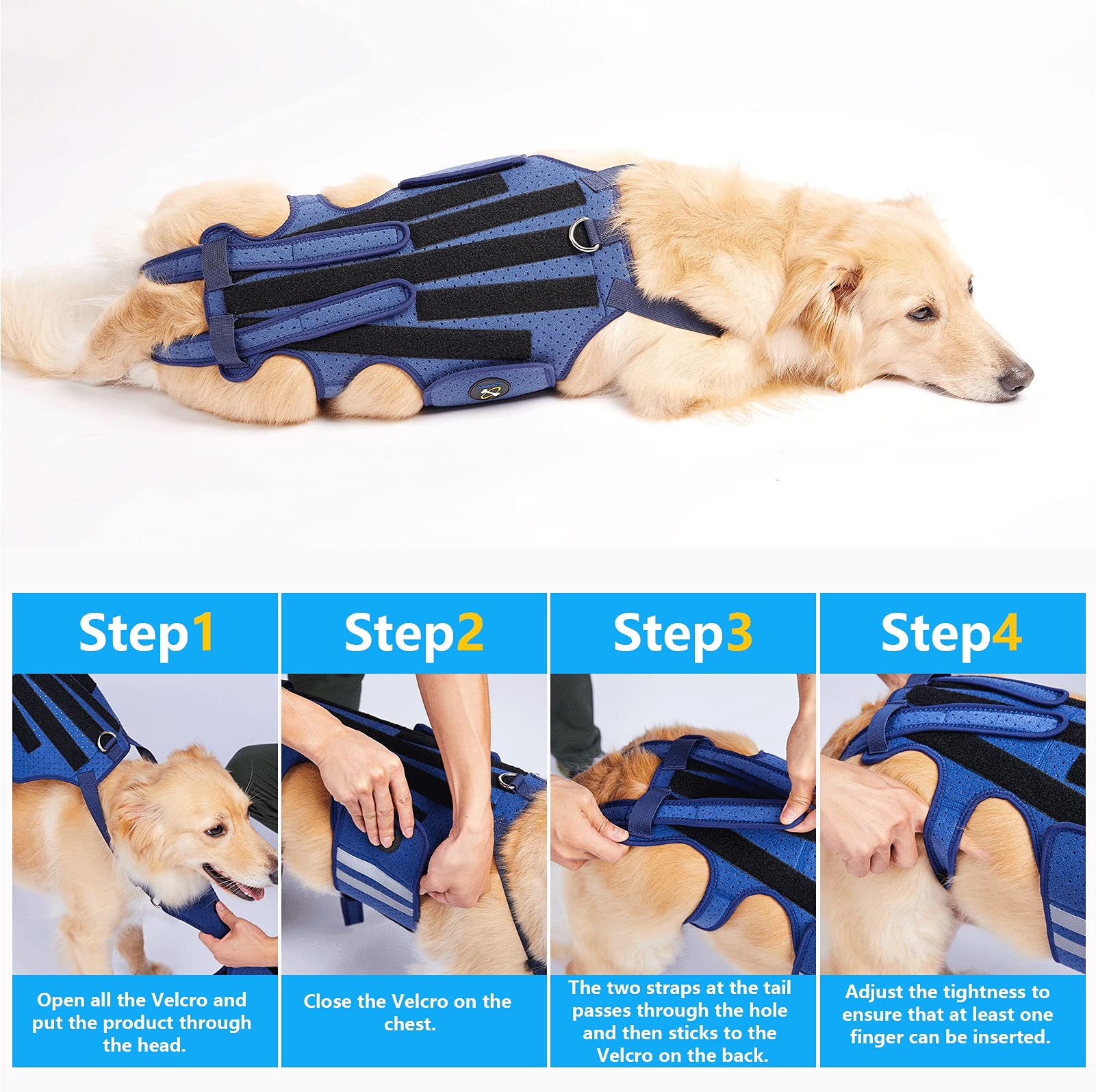 Coodeo Dog Back Brace for Dogs Arthritis, Pet Back Bracer for IVDD, Back Protector Helps Pain Relief, Surgical Recovery and Rehabilitation, Dogs Back Disease Prevention. (Medium)