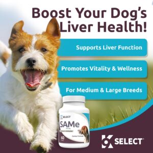 K9 Select SAM-e for Dogs: 225mg, 60 Tablets Active S-Adenosyl-L-Methionine Liver Supplement - Cognitive and Joint Health Nutrition for Medium and Large Dogs - Same Dog Liver Nutritional Supplement