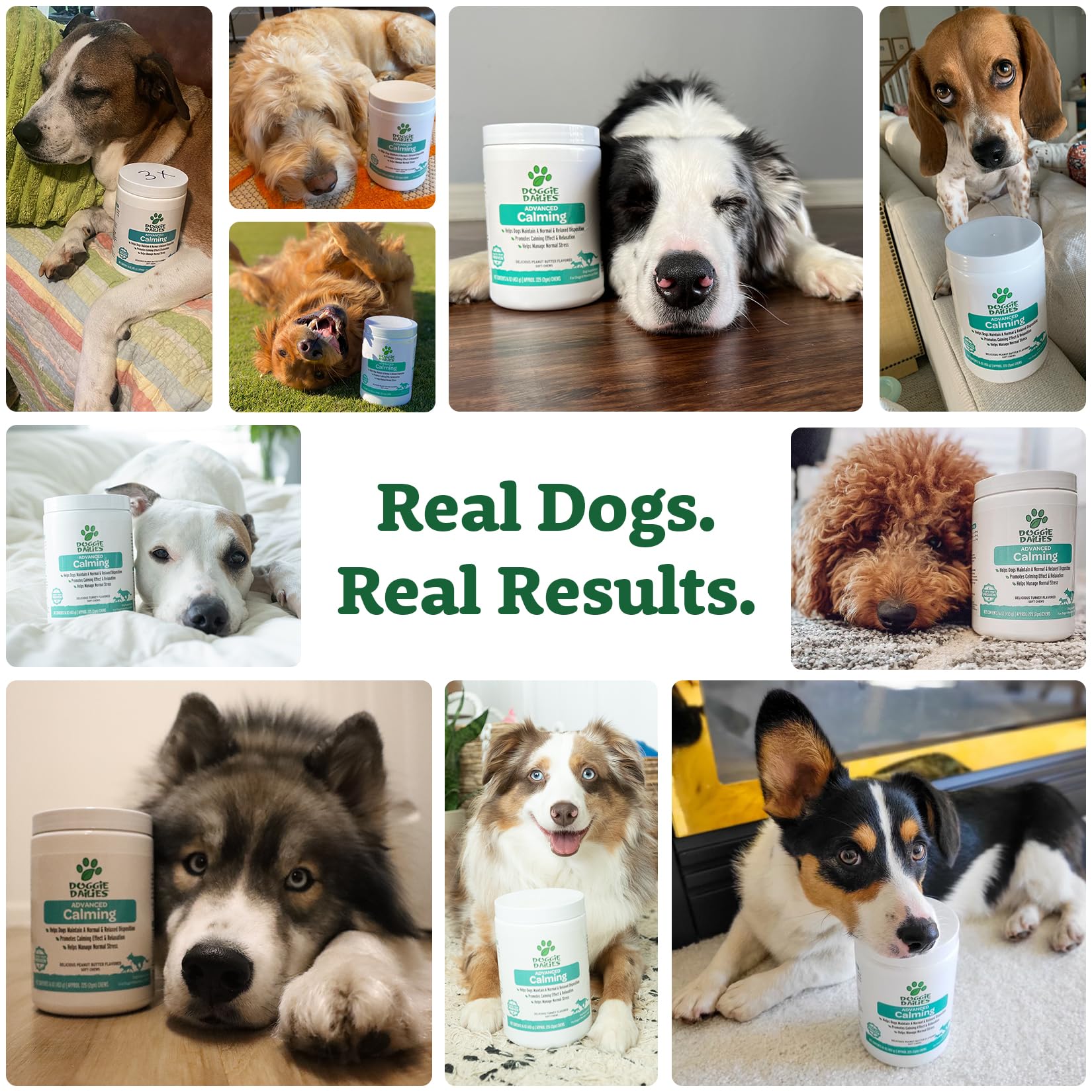 Doggie Dailies Calming Chews for Dogs, 225 Soft Chews, Melatonin for Dogs with Chamomile to Help Manage Stress Relief, Calm & Relaxation During Thunderstorms, Fireworks, Travel, & Separation