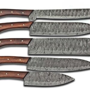 Damascus Steel Kitchen Knife Set, 5 PCS Hand Forged Chef Knife Set With Leather Roll Kit Christmas gift kitchen and Dinning