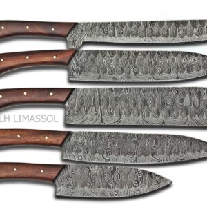 Damascus Steel Kitchen Knife Set, 5 PCS Hand Forged Chef Knife Set With Leather Roll Kit Christmas gift kitchen and Dinning