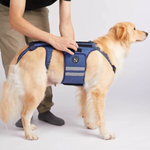 Coodeo Dog Back Brace for Dogs Arthritis, Pet Back Bracer for IVDD, Back Protector Helps Pain Relief, Surgical Recovery and Rehabilitation, Dogs Back Disease Prevention. (Medium)