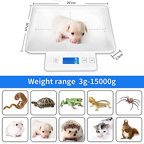 MINDPET-MED Digital Pet Scale for Small Animal, Whelping Scale,Mini Precision Gram Weight Balance Scale, High Precision 1g, Suitable for Newborn Pets