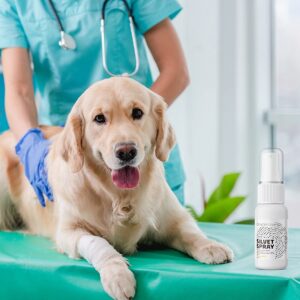 NEXDERMA Pet Wound Care with Colloidal Silver Medicated Itch Relief Hot Spot Spray for Dogs & Cats | First Aid Skin, Vet Formulated, All Natural Pain Free Formula - 25ml