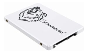 somnambulist computer components ssd disk sata 3 built-in hard disk storage suitable for personal computers and laptops 2tb 120gb 960gb 240gb (white bear 2tb)