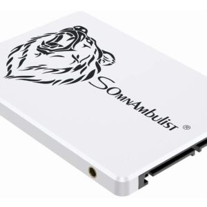 Somnambulist Computer Components ssd Disk sata 3 Built-in Hard Disk Storage Suitable for Personal Computers and laptops 2tb 120gb 960gb 240gb (White Bear 2TB)