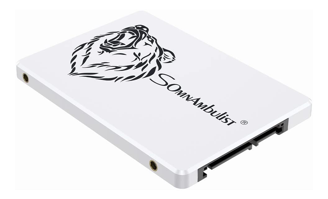 Somnambulist Computer Components ssd Disk sata 3 Built-in Hard Disk Storage Suitable for Personal Computers and laptops 2tb 120gb 960gb 240gb (White Bear 2TB)