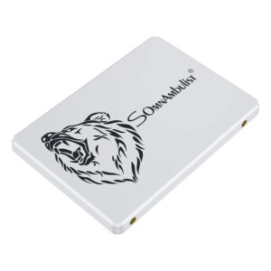 Somnambulist Computer Components ssd Disk sata 3 Built-in Hard Disk Storage Suitable for Personal Computers and laptops 2tb 120gb 960gb 240gb (White Bear 2TB)