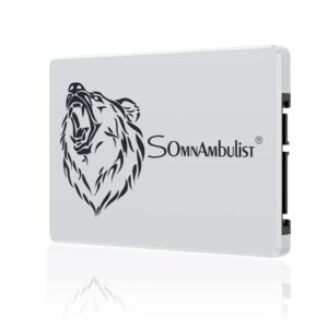 Somnambulist Computer Components ssd Disk sata 3 Built-in Hard Disk Storage Suitable for Personal Computers and laptops 2tb 120gb 960gb 240gb (White Bear 2TB)