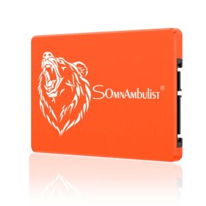 Somnambulist sata3 ssd 120gb 240gb 480gb 960gb 2.5 inch Hard Drive sata3 HDD ssd Laptop 2tb Solid State dr (Orange Bear 960GB)