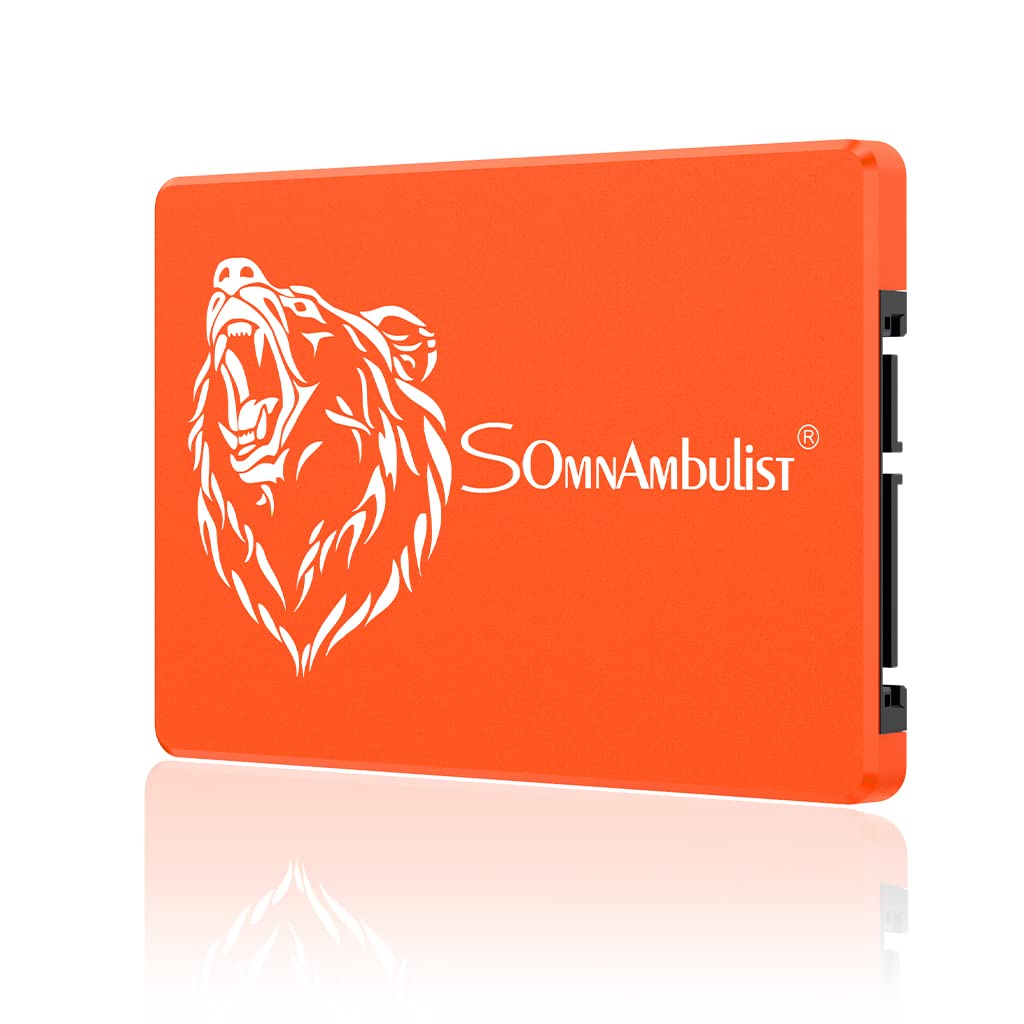 Somnambulist sata3 ssd 120gb 240gb 480gb 960gb 2.5 inch Hard Drive sata3 HDD ssd Laptop 2tb Solid State dr (Orange Bear 960GB)