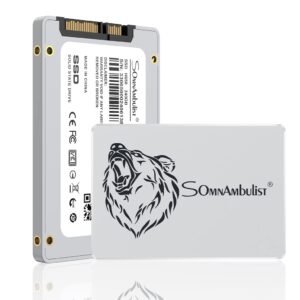 Somnambulist Computer Components ssd Disk sata 3 Built-in Hard Disk Storage Suitable for Personal Computers and laptops 2tb 120gb 960gb 240gb (White Bear 2TB)