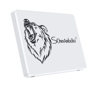 Somnambulist Computer Components ssd Disk sata 3 Built-in Hard Disk Storage Suitable for Personal Computers and laptops 2tb 120gb 960gb 240gb (White Bear 2TB)